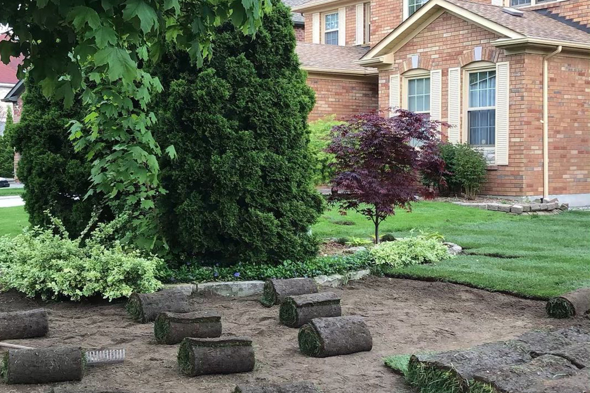 Residential Sod Installation